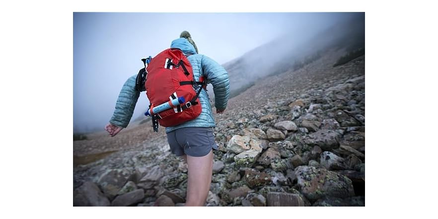 LifeStraw Water Filter Emergency 2 Pack