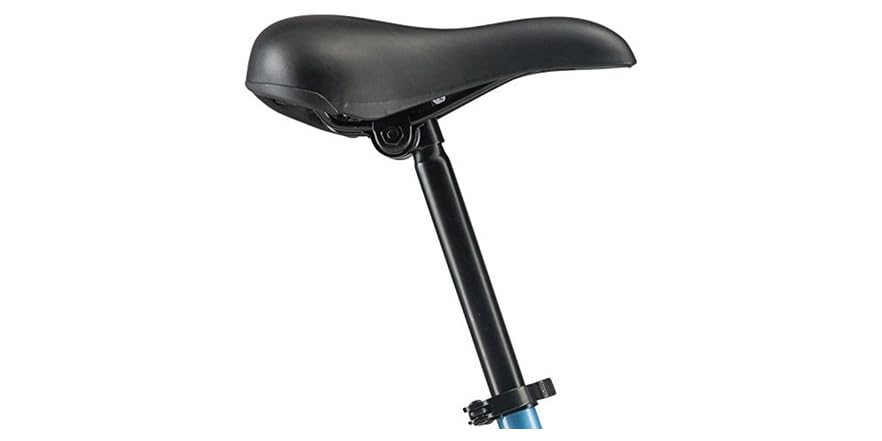 Diamondback Youth Tess 24" G24 Blue