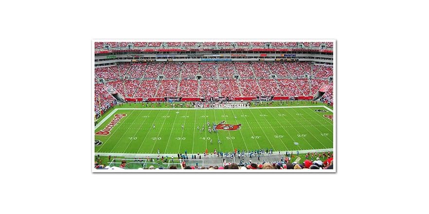 NFL 36x20 Stadium Posters