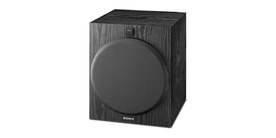 Sony 100W Performance Line Subwoofer