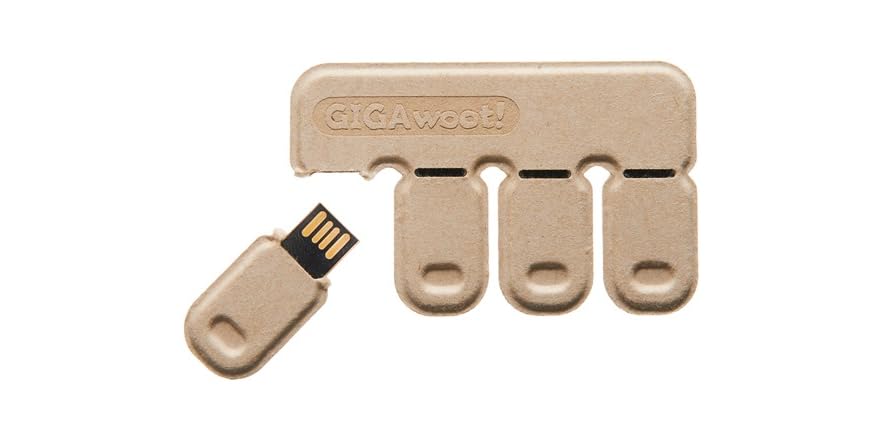 GIGAwoot Flash Drives by Gigs 2 Go (8GB x 4)
