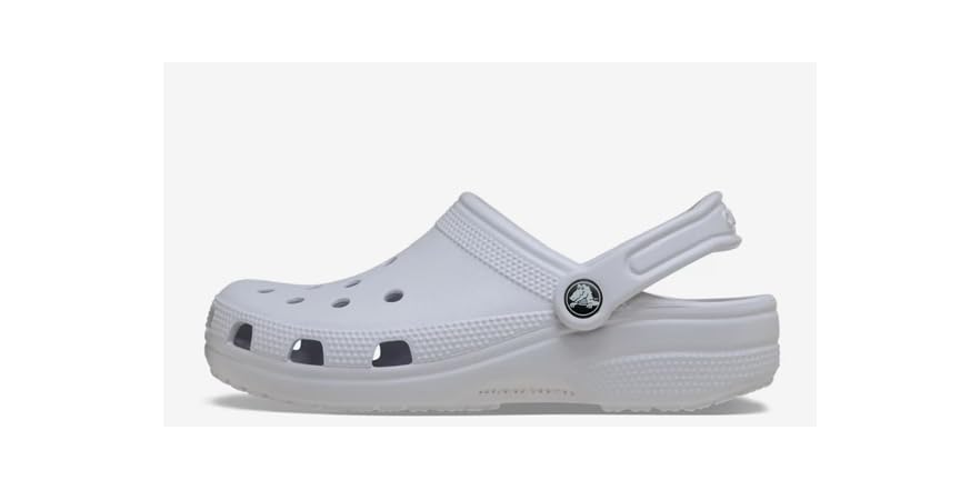 Crocs Classic Unisex Clog Frosted Grape
