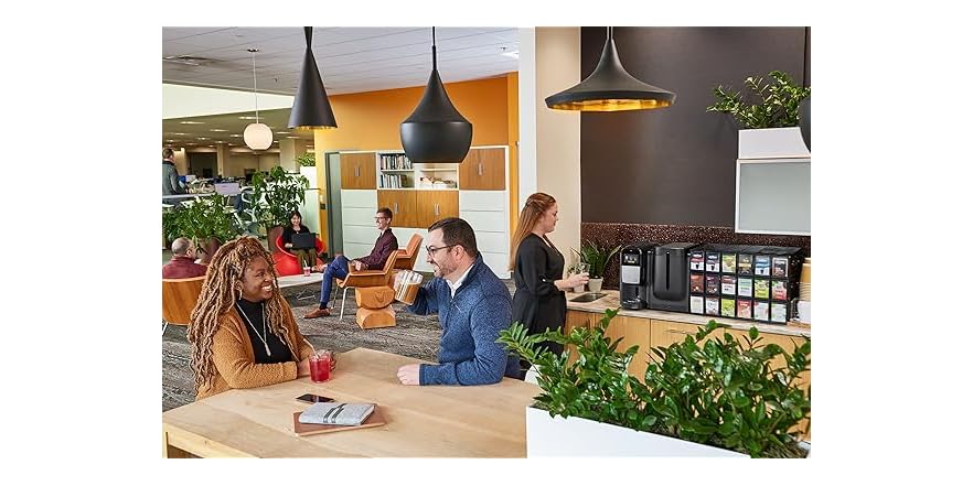 Flavia Creation 300 C300 Brewer