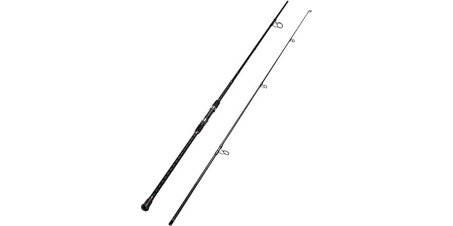 Fiblink Surf Spinning Fishing Rod 2-Piece
