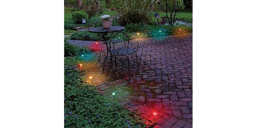 Electric Pathway Lights with 10 Clear Bulbs