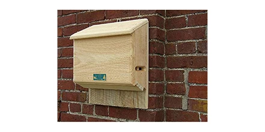 Sunshine's Bat Hse - Large