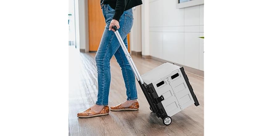CleverMade Collapsible Wheeled Crate with Lid
