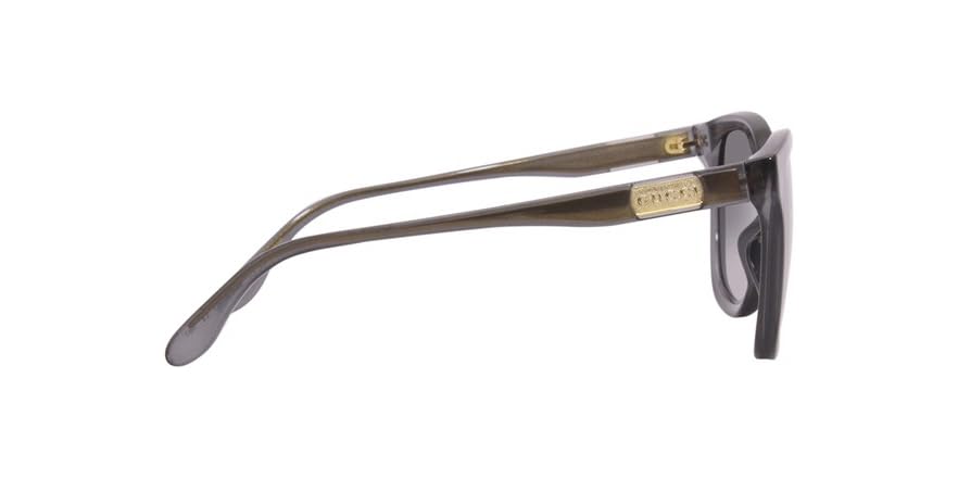 Gucci Women's Smoke Gray Sunglasses