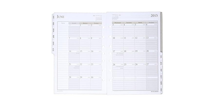 Day Runner 2015 Two-Pages-Per-Day Planning Pages, 5 1/2 x 8 1/2