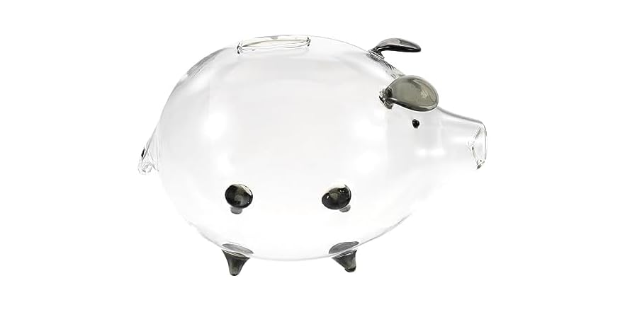 Clear Glass Piggy Bank Coin Container