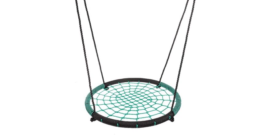 Spider Web Tree Swing