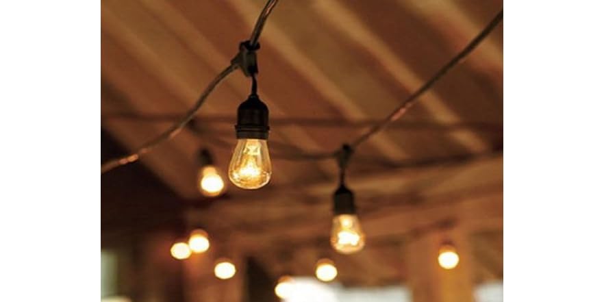 Vintage Series 48-Ft String Lights