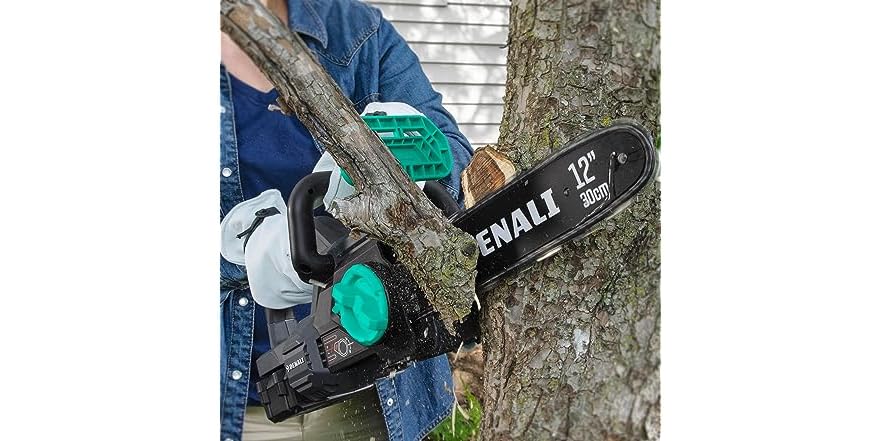Denali by SKIL 20V Brushless 12-Inch Chain Saw Kit