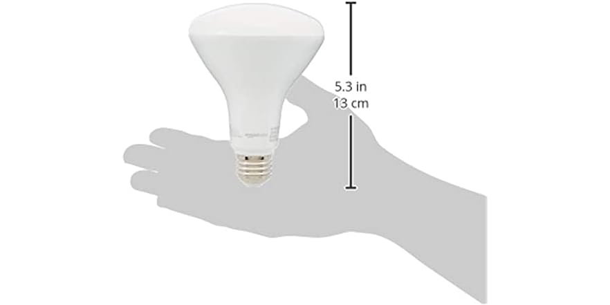 AmazonBasics 65-Watt BR30 LED Bulbs
