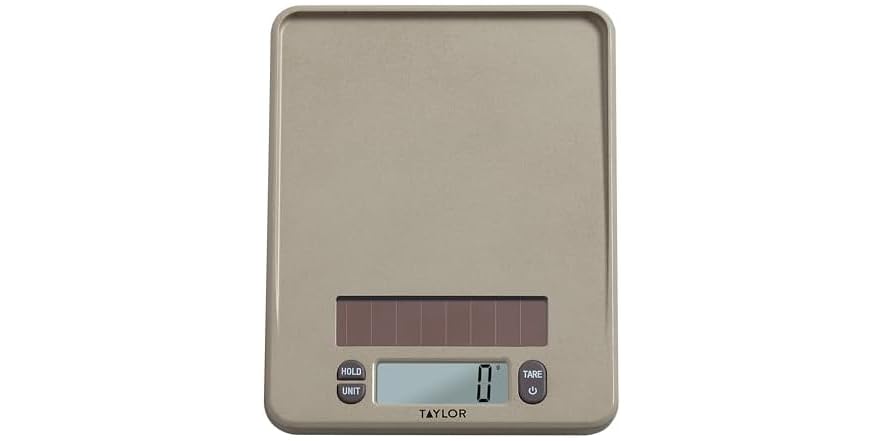 Taylor Light Powered Digital Kitchen Scale