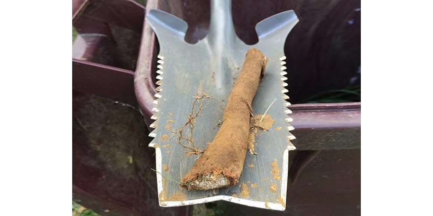 Radius Garden Root Slayer Shovel