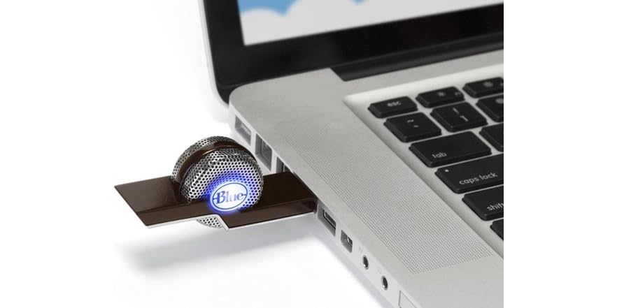 Tiki Portable USB Microphone