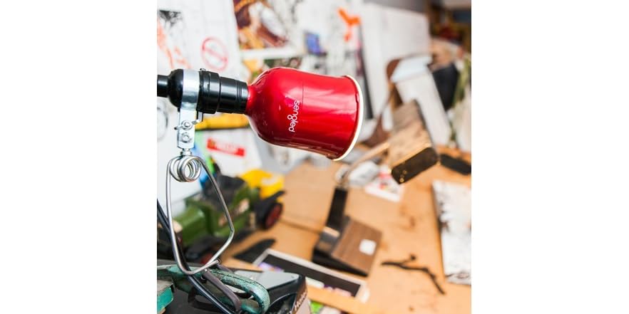 Sengled Pulse LED Smart Bulb & JBL Speaker (Pair)