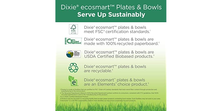 Dixie 10-1/16” Recycled Paper Plates (500-ct)