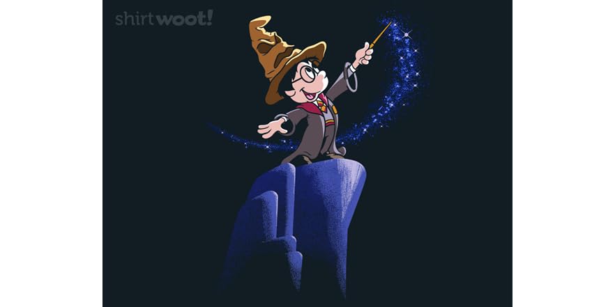 The Wizard's Apprentice