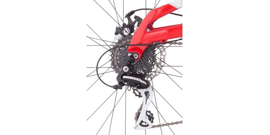 Diamondback Recoil 29er