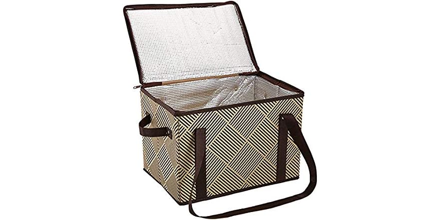 Earthwise Collapsible Reusable Box Bag