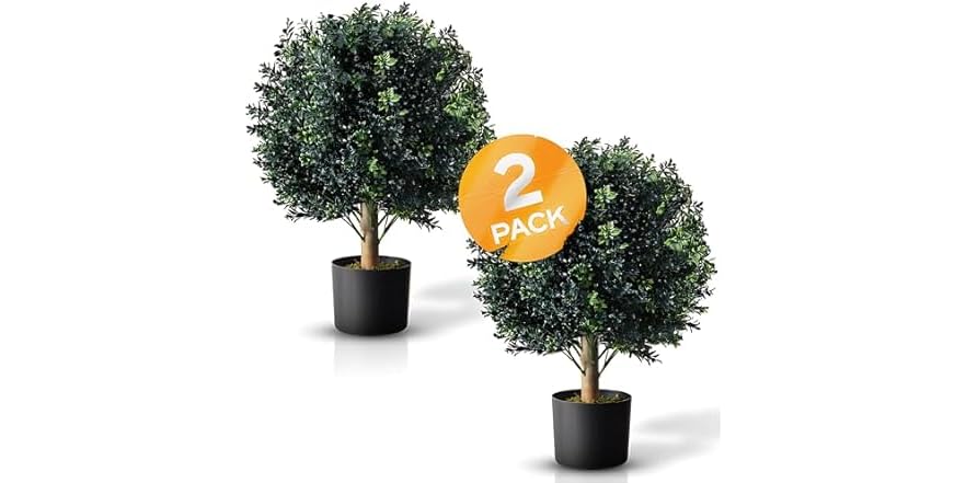 BOTARO TRESIL Set of 2 - Pre-Potted 24"