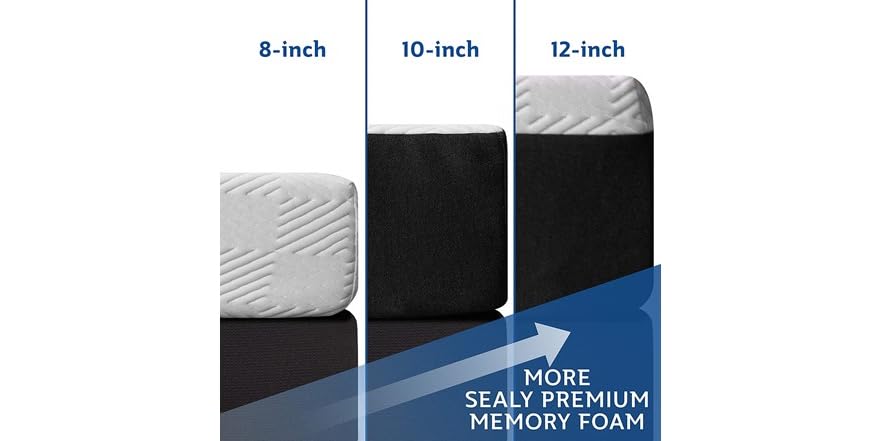 Sealy Memory Foam Bed in a Box