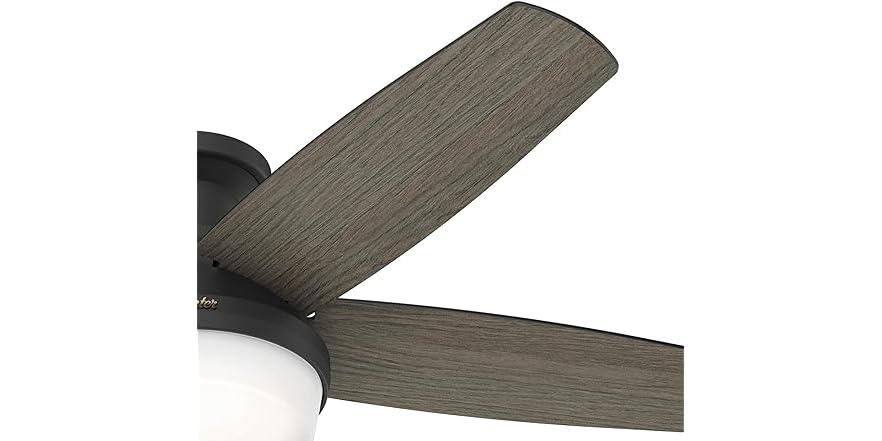 Hunter Fan CC52590-A 48-inch wLight Kit and Remote