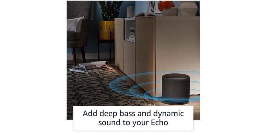Amazon Echo Sub