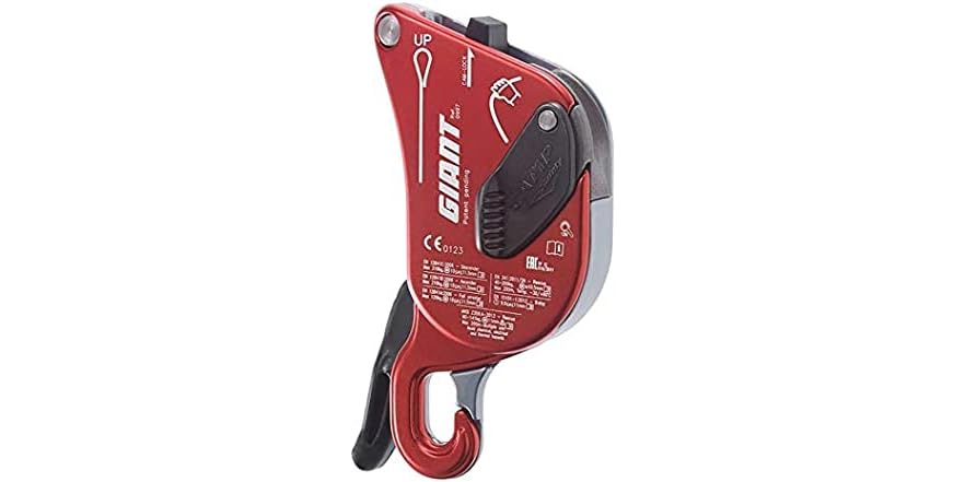 Giant Descender auto-braking descender