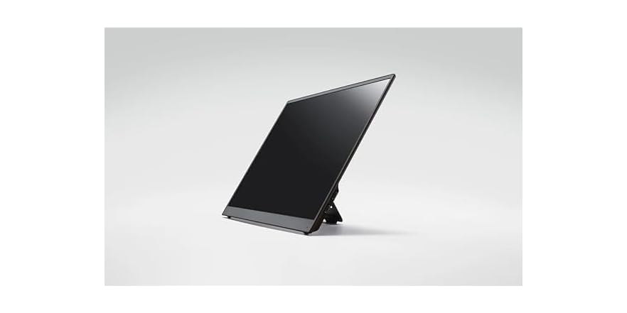 VAIO 14" Portable Laptop Monitor