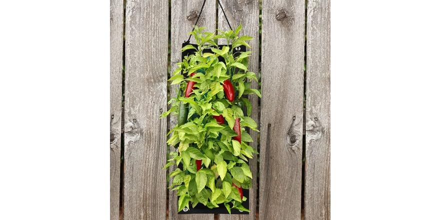 Organic Hanging Pepper Bag - Your Choice