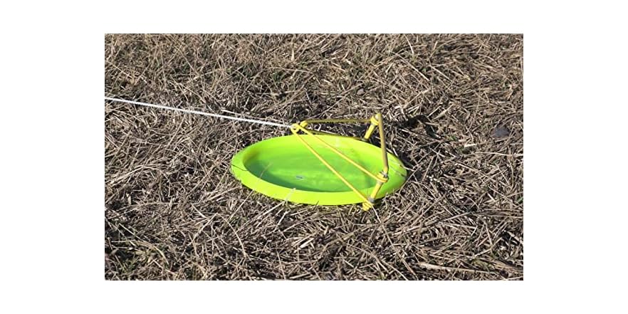 Golden Retriever Golf Disc Retriever