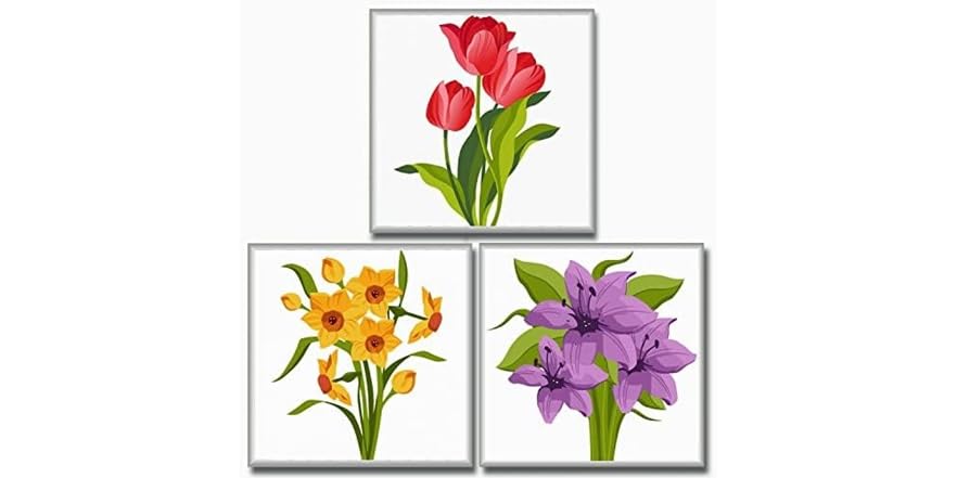 3 Pack Paint by Number Kits for Kids