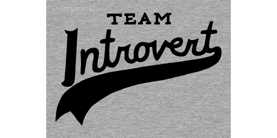 Team Introvert