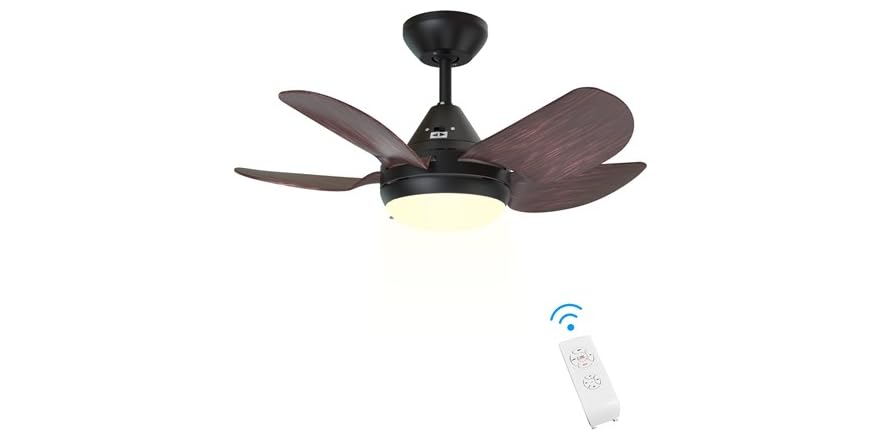 CJOY 30" Ceiling Fan with Lights