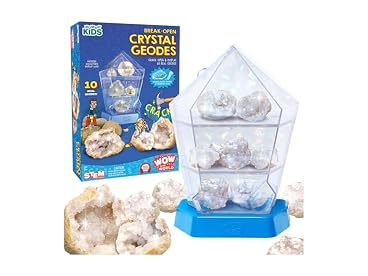 10 Real Break-Open Crystal Geodes with Display Case