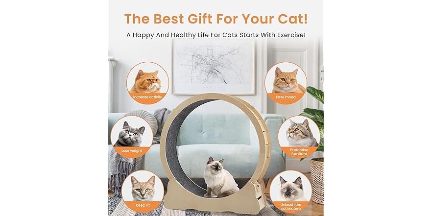 Cat Exercise Wheel for Indoor Cats Treadmill