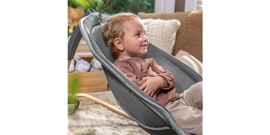 Ingenuity Every Season 2-in-1 Baby Rocker