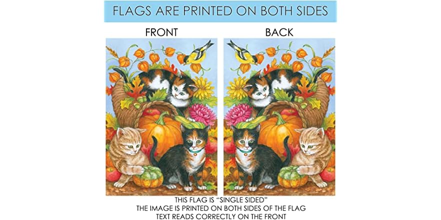 Toland Home Garden Kitten Cornucopia Flag