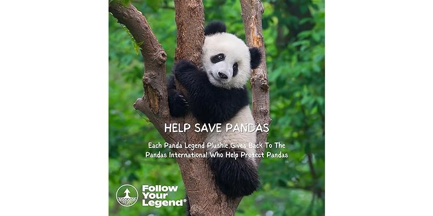 Follow Your Legend Bobby The Panda Plush
