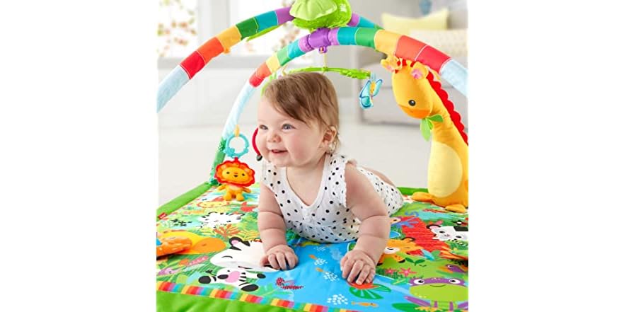 Fisher-Price Rainforest Gym