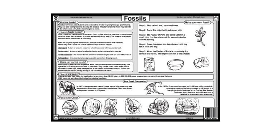 Tot Talk Educational Placemat for Kids