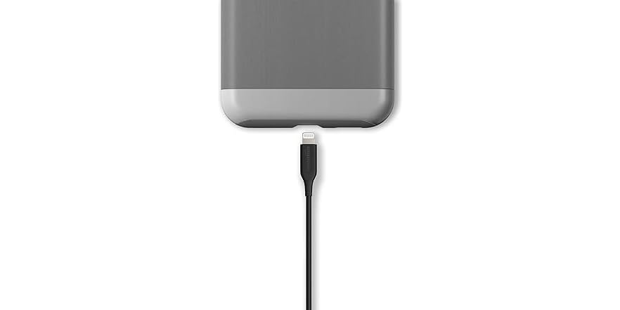 AmazonBasics 6FT Lightning to USB-A Charging Cable