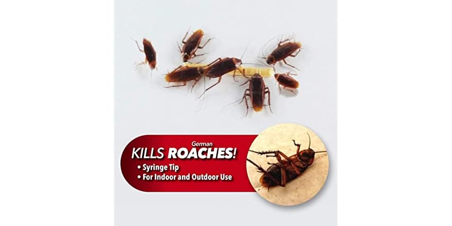 BulbHead Original Roach Doctor