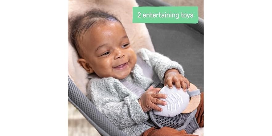 Ingenuity Every Season 2-in-1 Baby Rocker