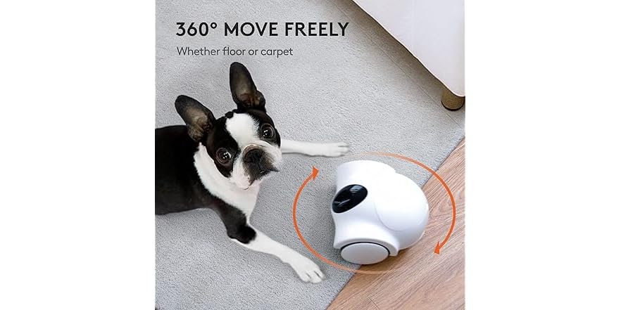 Smart Pet Camera, 2-Way Audio