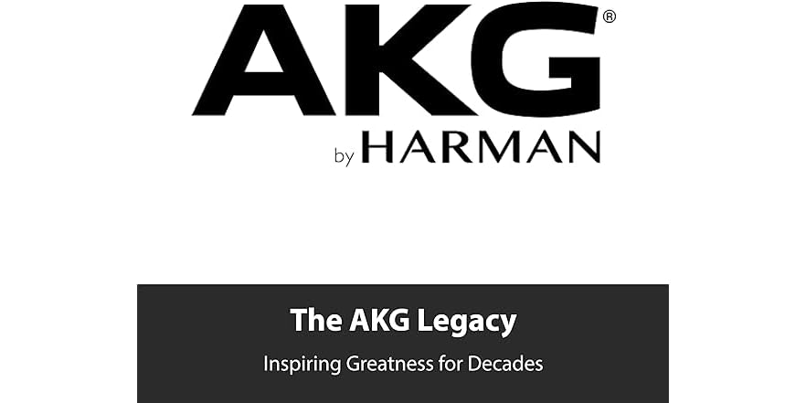 AKG P120 General Purpose Recording Microphone