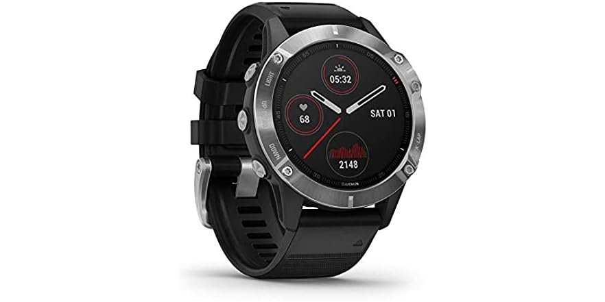 Garmin fenix 6 - Silver with Black Band